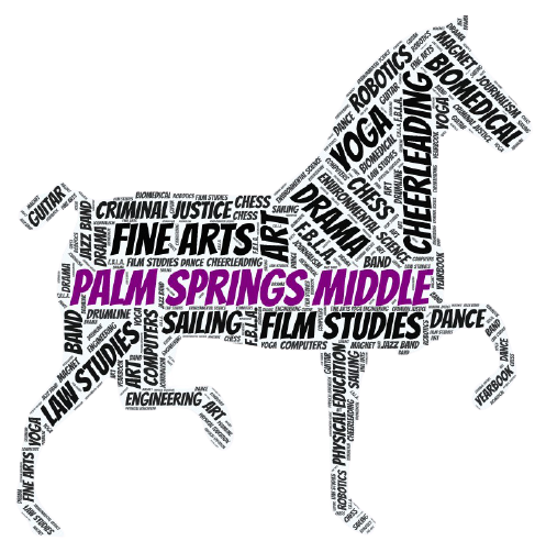 Academies Overview – Palm Springs Middle School